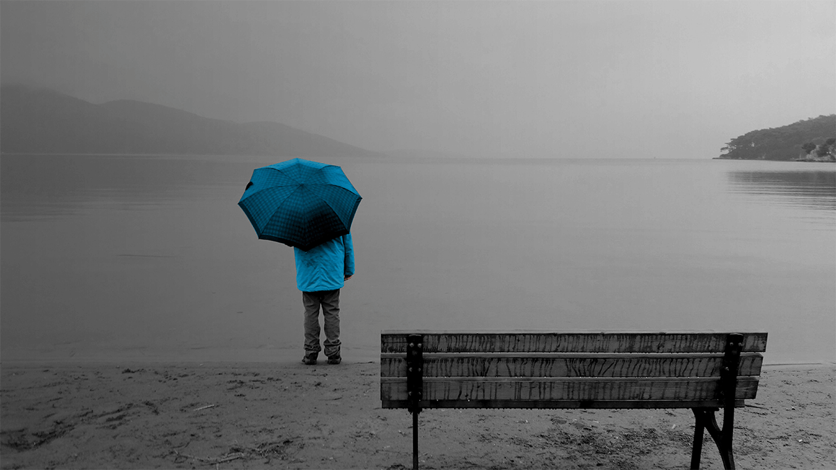 Short Term Insurance | PSG